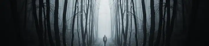 Kemono