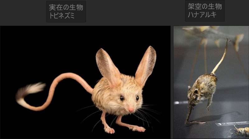 Kemono